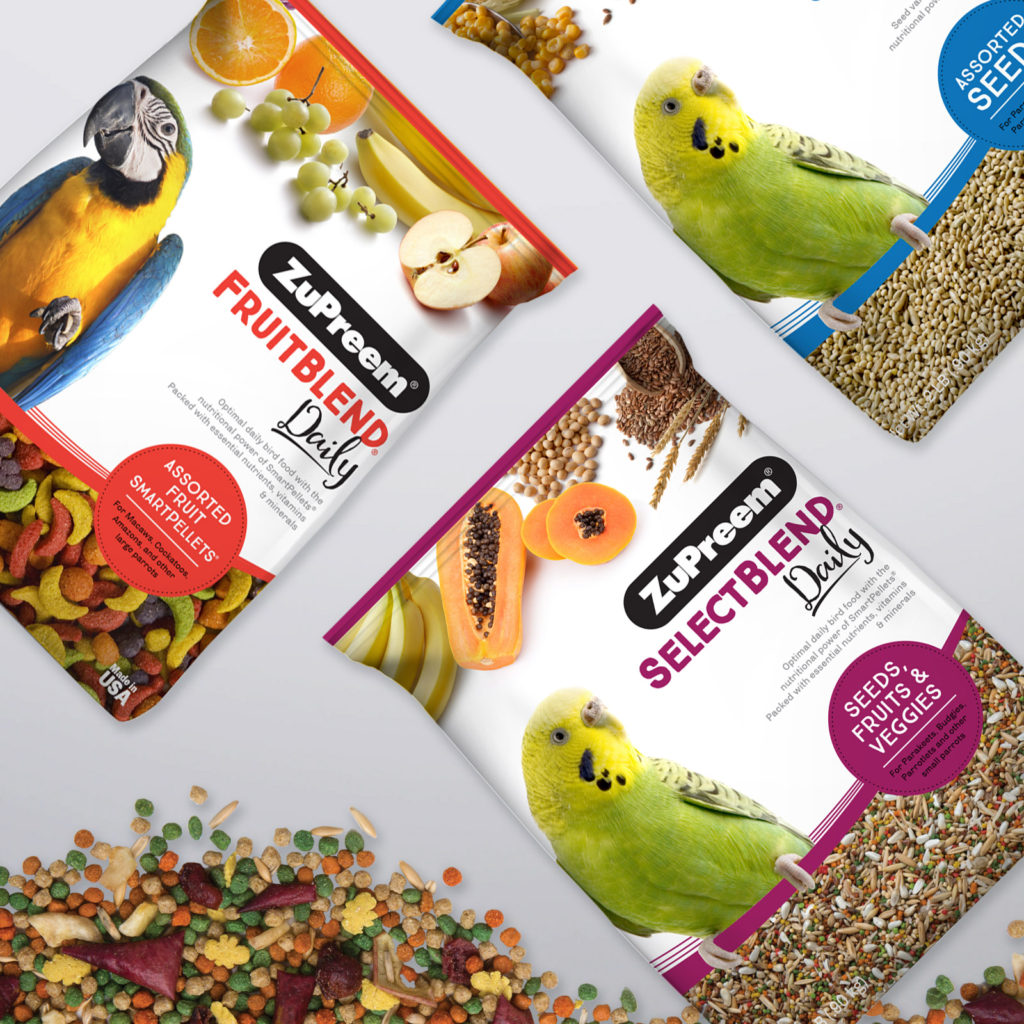 Packaging - Pivot Forward